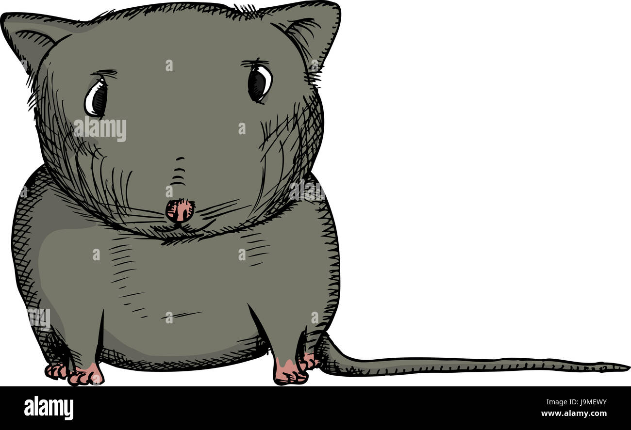 animal, black, swarthy, jetblack, deep black, drawing, photo, picture ...