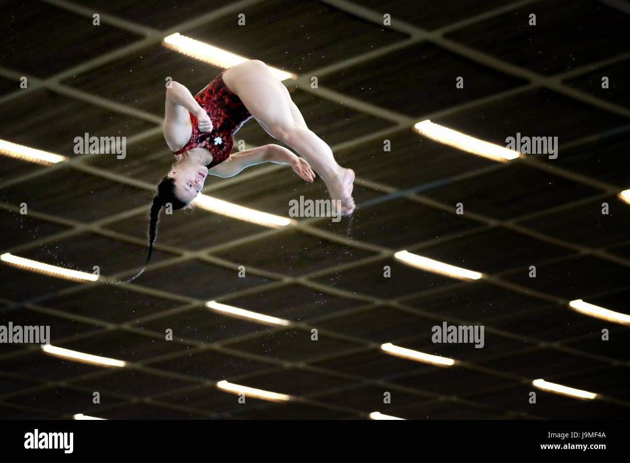 Millie Fowler in the Women's 3m Springboard preliminary round during ...