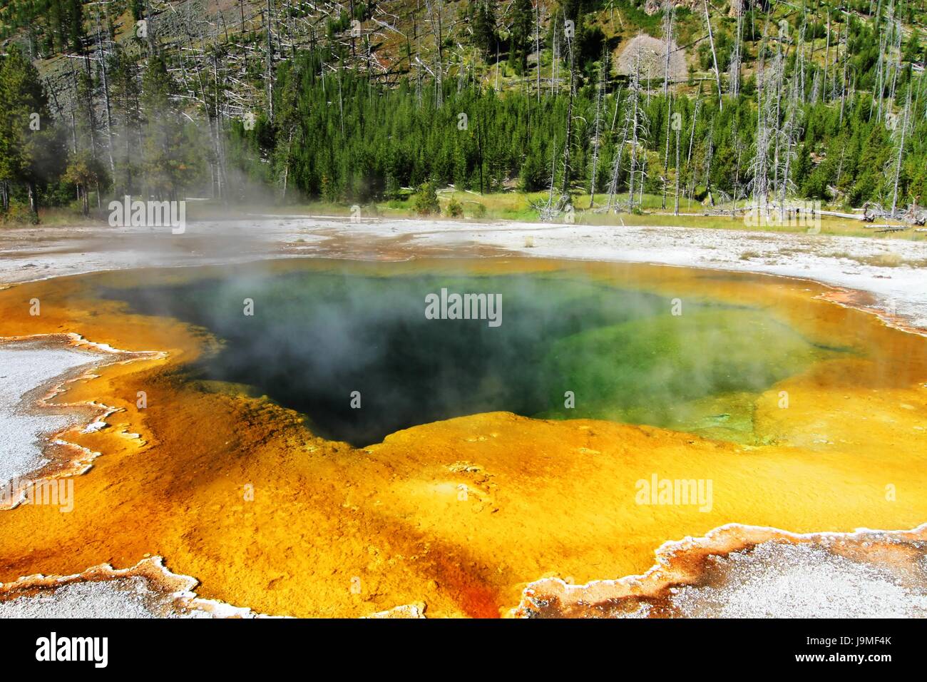 hot, spring, bouncing, bounces, hop, skipping, frisks, jumping, jump ...