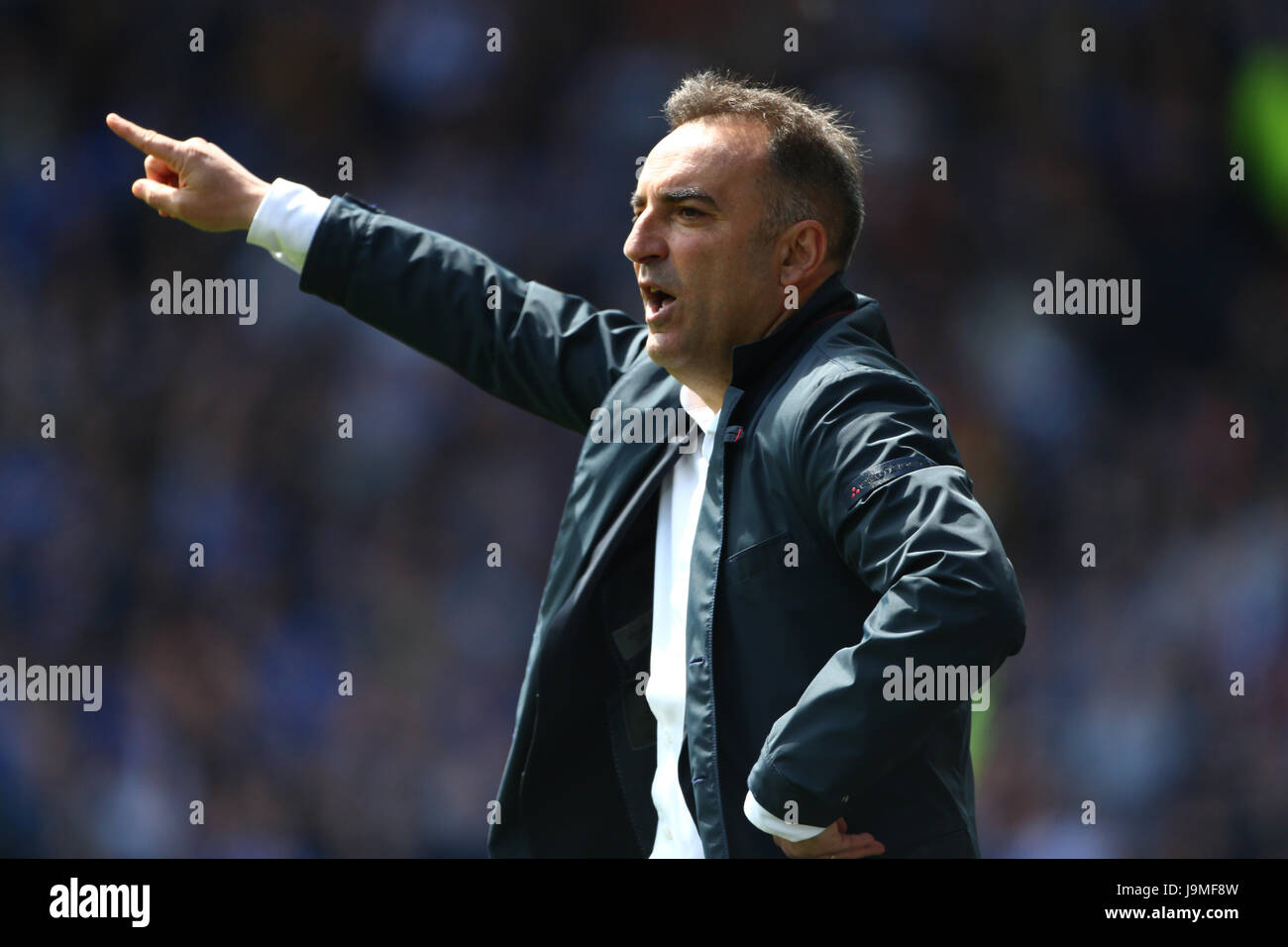 Sheffield Wednesday manager Carlos Carvalhal Stock Photo - Alamy