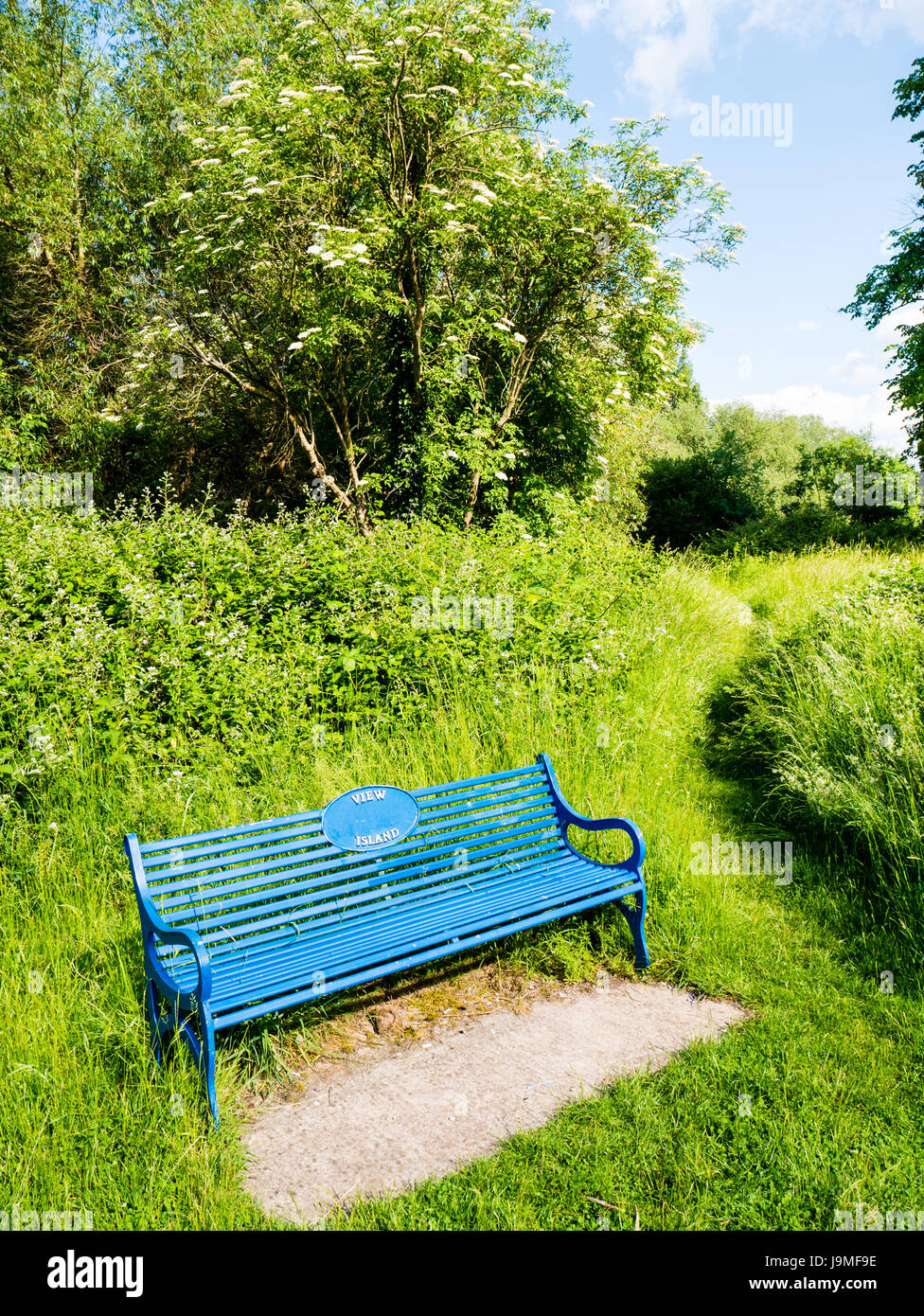 View Island, Caversham, Reading, Berkshire, UK, GB Stock Photo - Alamy