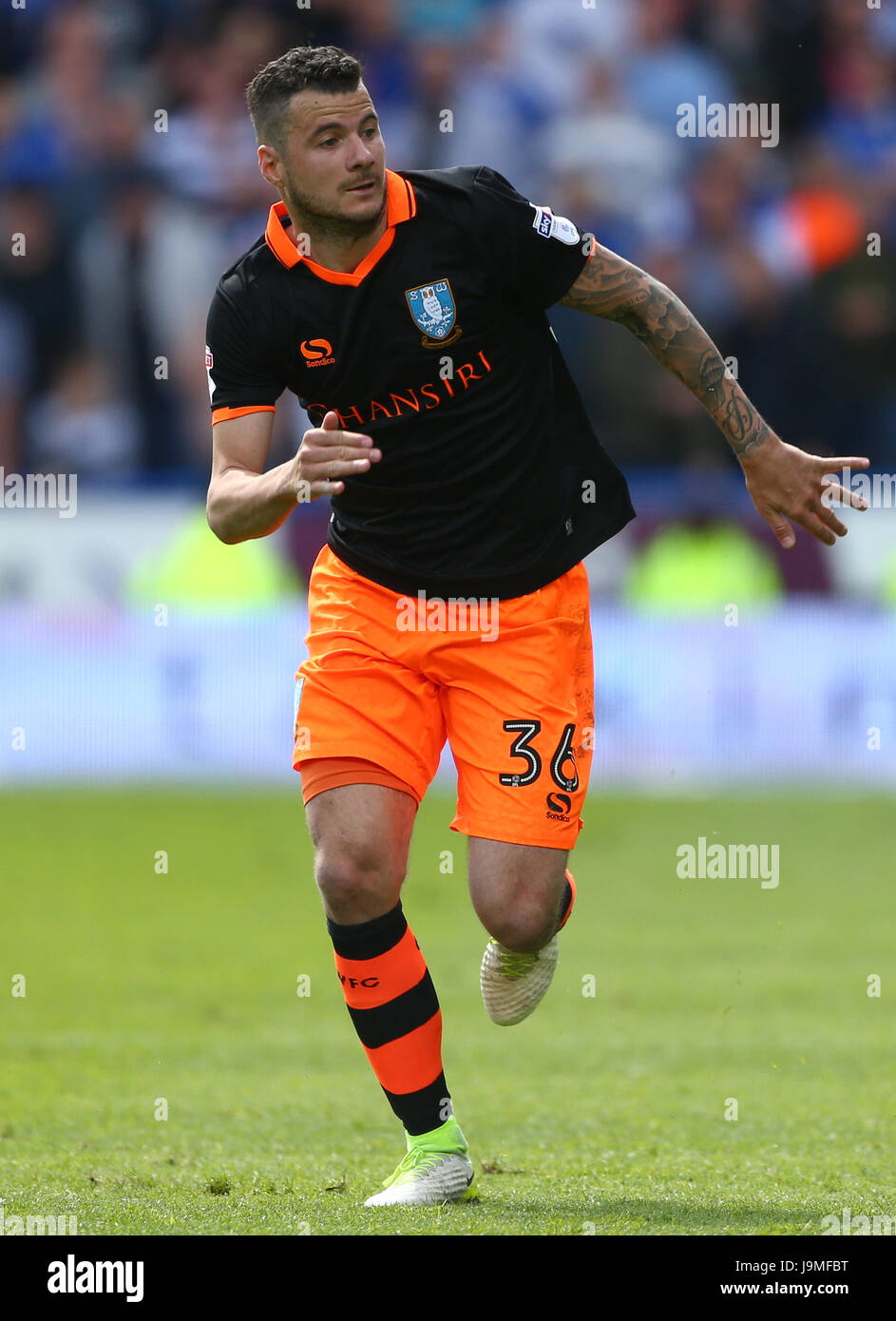 Sheffield Wednesday's Daniel Pudil Stock Photo - Alamy