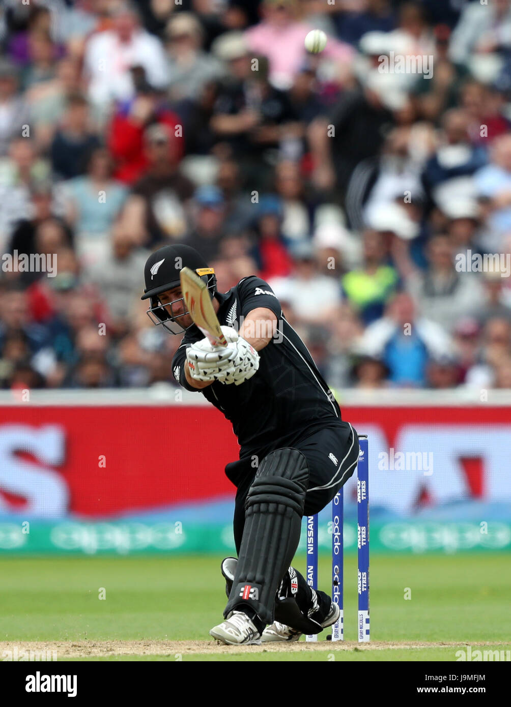 New zealands neil broom hi-res stock photography and images - Alamy