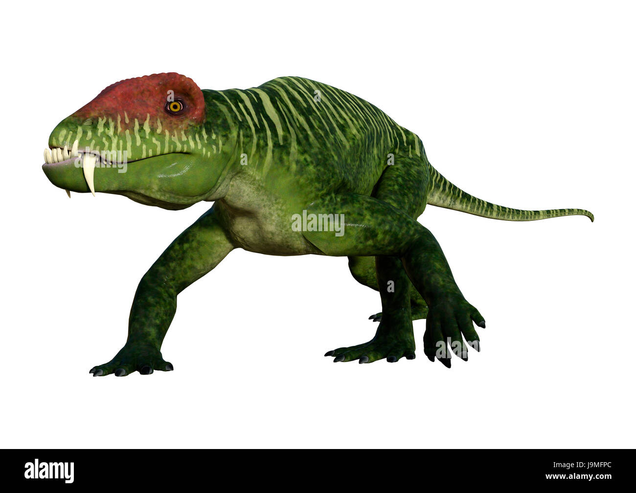 Therapsid High Resolution Stock Photography and Images - Alamy