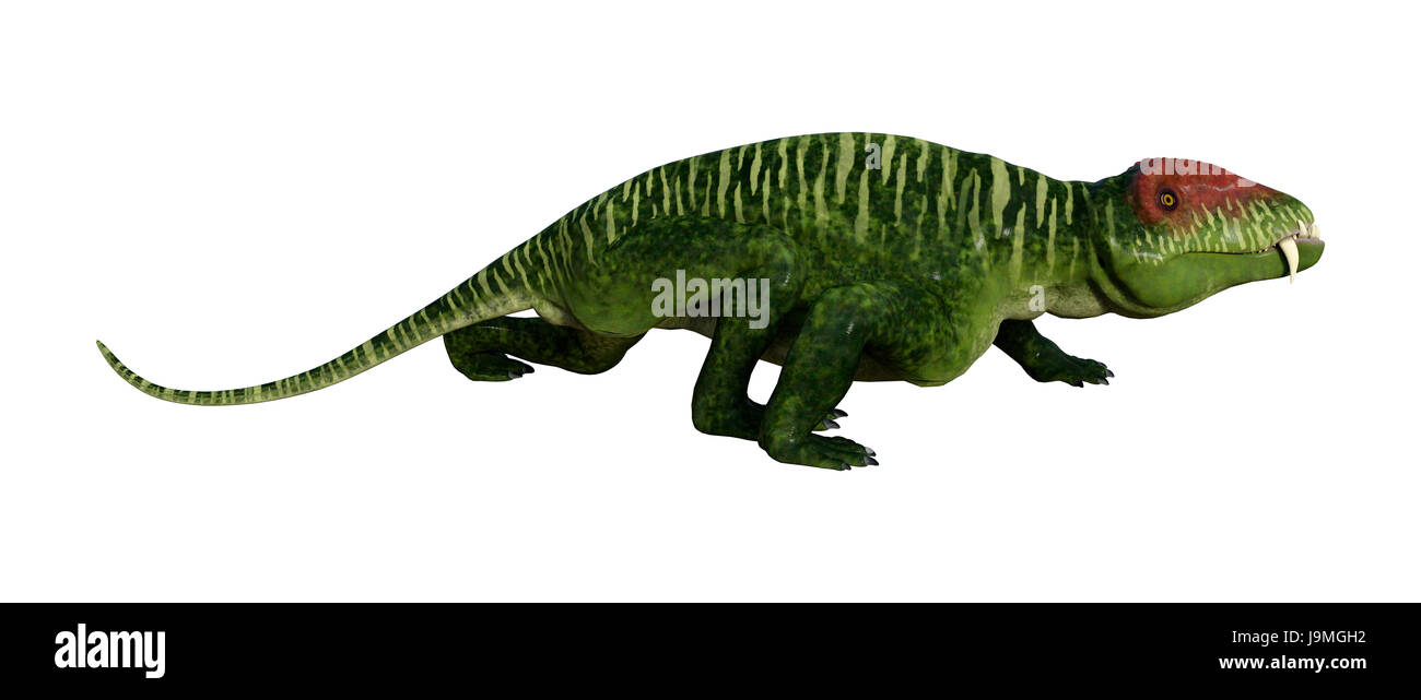 3D rendering of a dinosaur Doliosauriscus isolated on white background ...