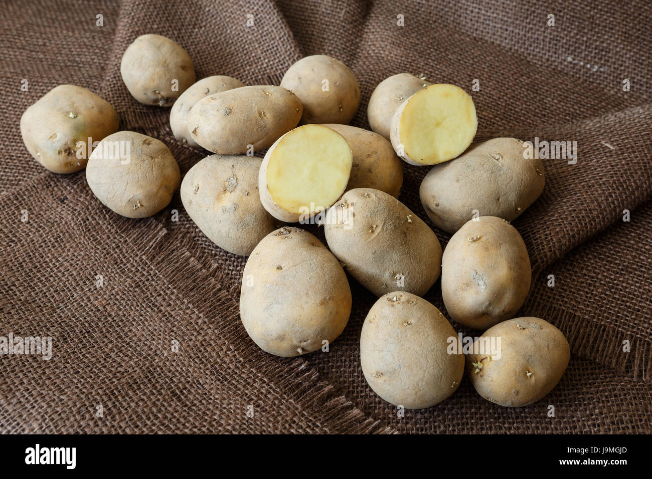 Old potato with young sprouts on a wooden table ready for planting ...