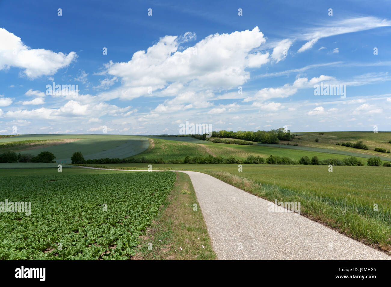 agriculture, farming, field, asphalt, street, road, scenery ...