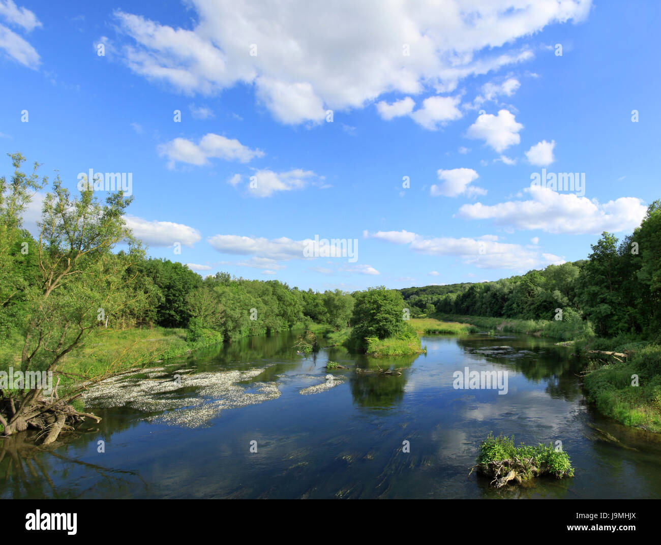 the ruhr in mid-june Stock Photo - Alamy