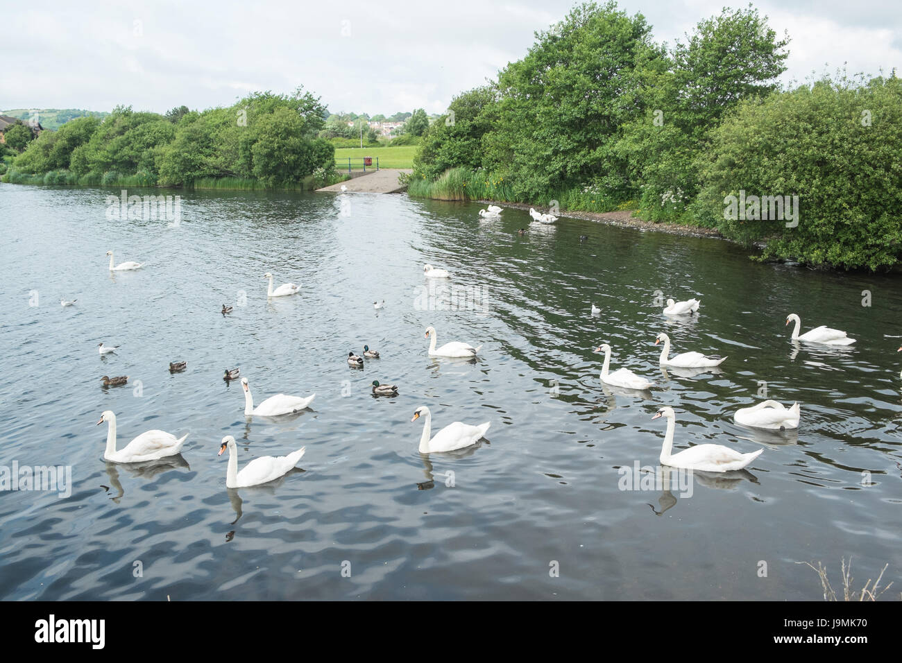 Greening,a,once,industrial,landscape,at,Sandy Water Park,Park,Llanelli ...
