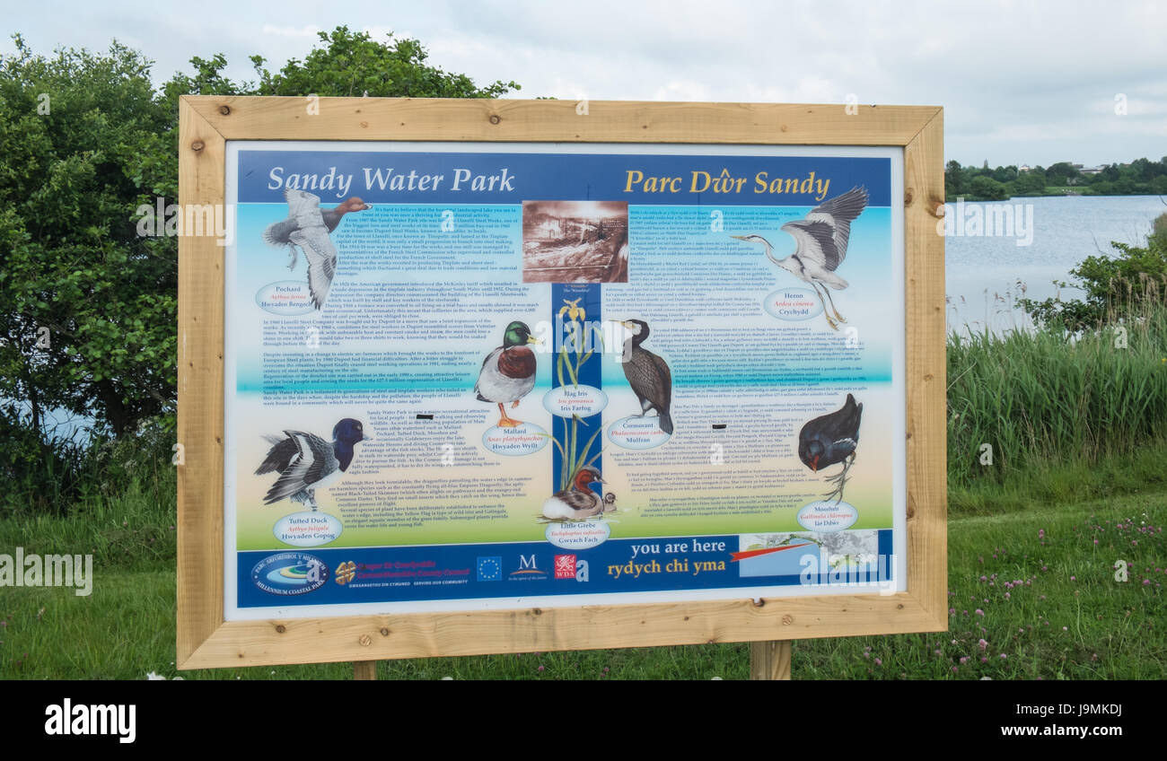 Greening,a,once,industrial,landscape,at,Sandy Water Park,Park,Llanelli ...