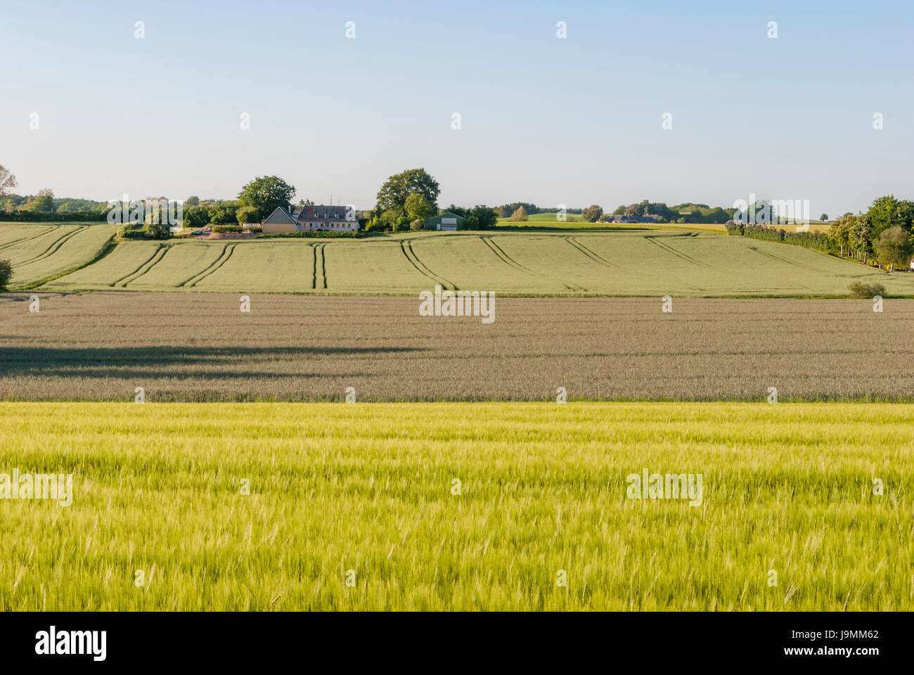 Farming fields in different colors in spring Stock Photo - Alamy