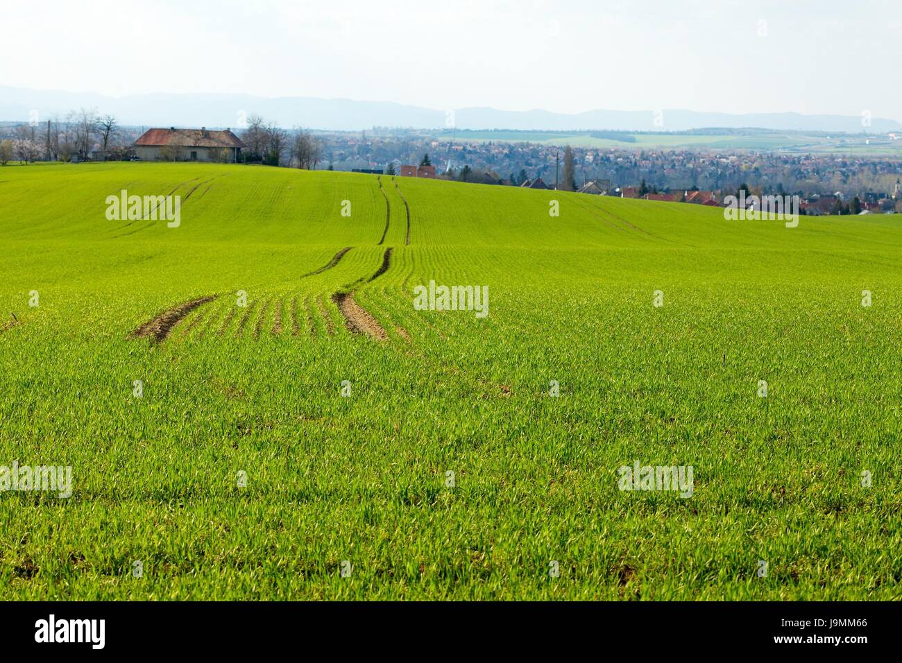 agricultural, agriculture, farming, field, growth, land, grow, realty ...