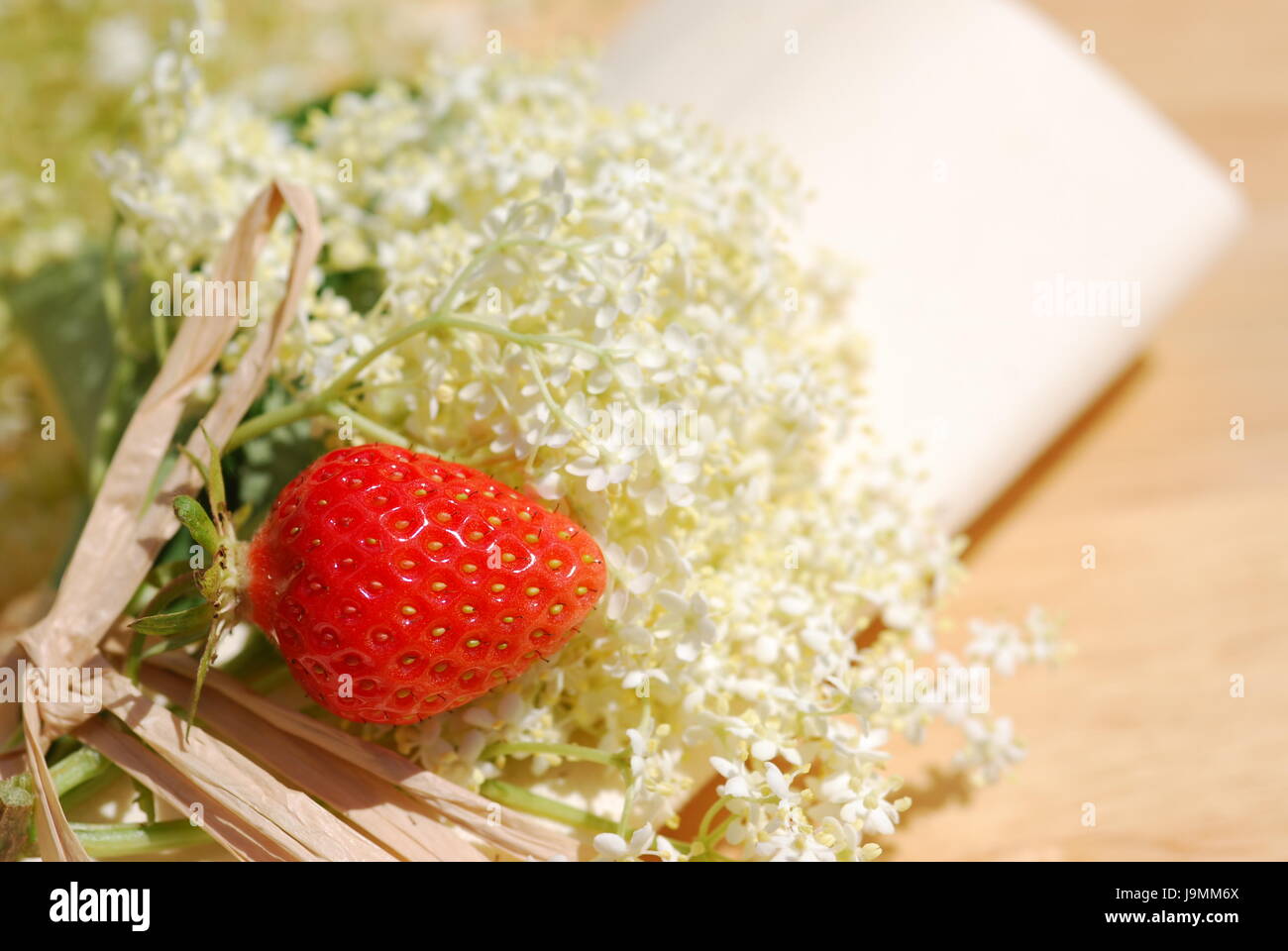 elderflower herb table decorations Stock Photo - Alamy