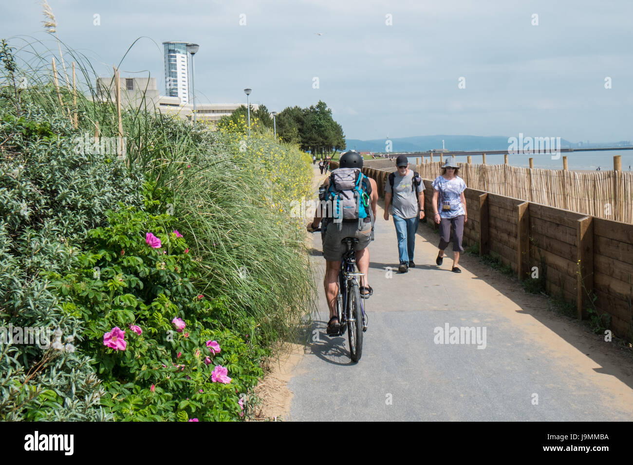 Cycling,path,outdoors,outdoor,beach,coast,coastal,scenery,scene,Swansea ...