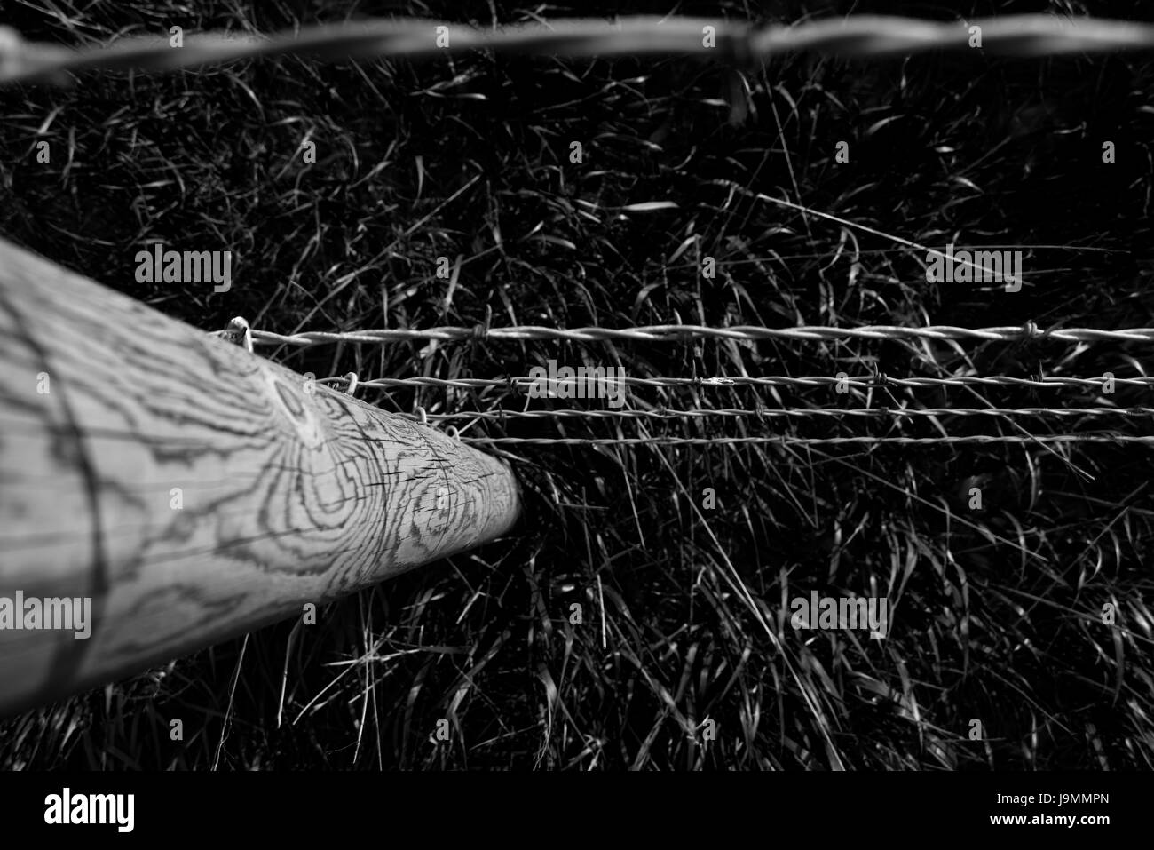 High contrast artistic monochrome image of an old wooden barbed wire ...