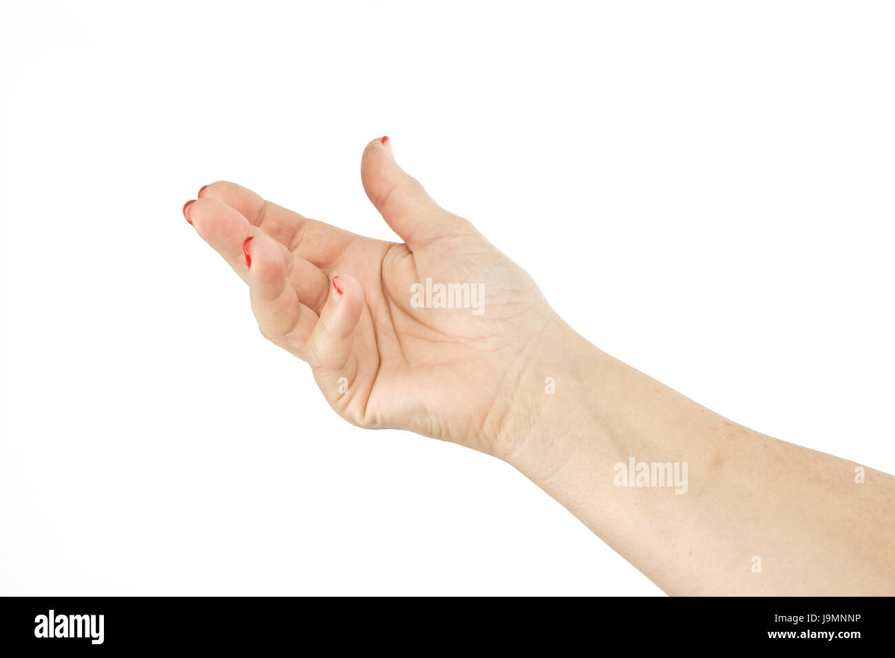 Woman hand isolated on white background Stock Photo - Alamy