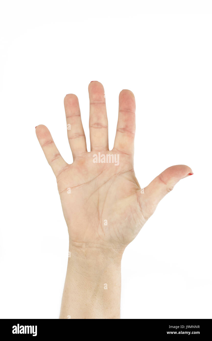 Female open hand isolated on white background. Gesture five hand. Woman ...