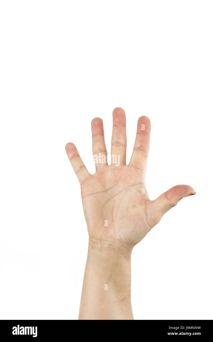 Adult female hand show five fingers up isolated on white background ...