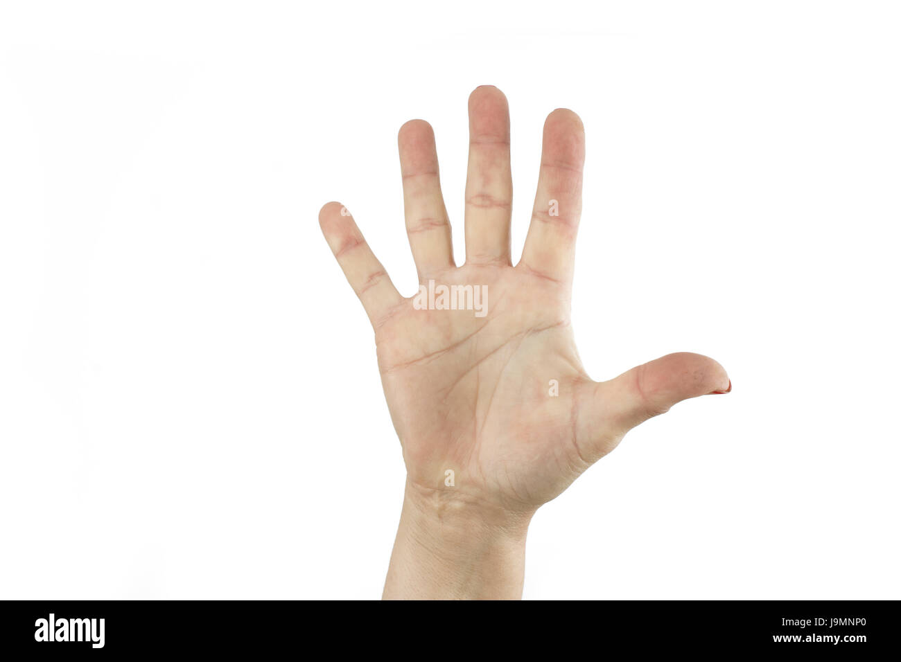 Woman hand making sign five closeup isolated on white background. Female open hand. Gesture five ...