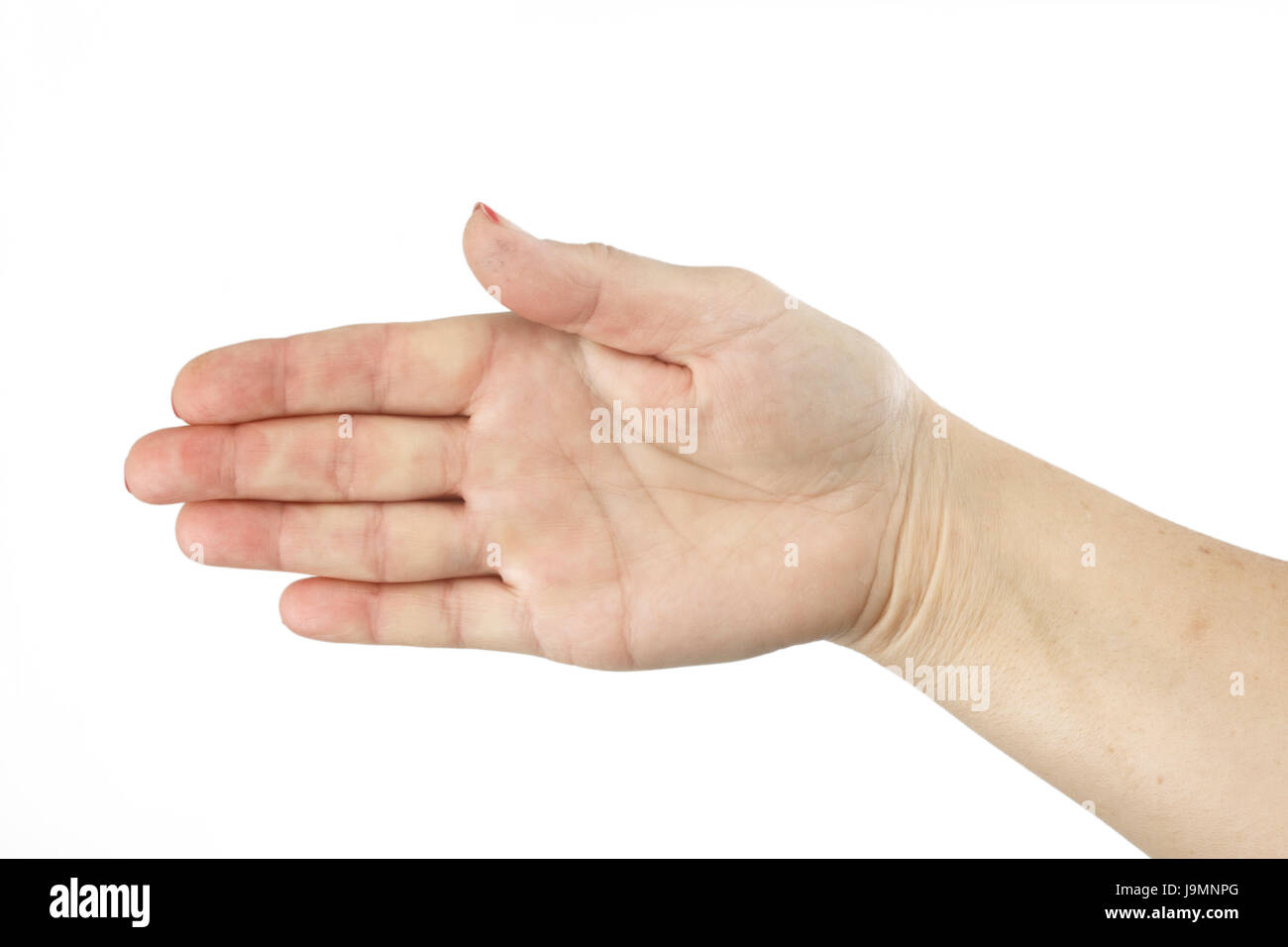 Woman hands forming a handshake isolated on a white background. Female ...