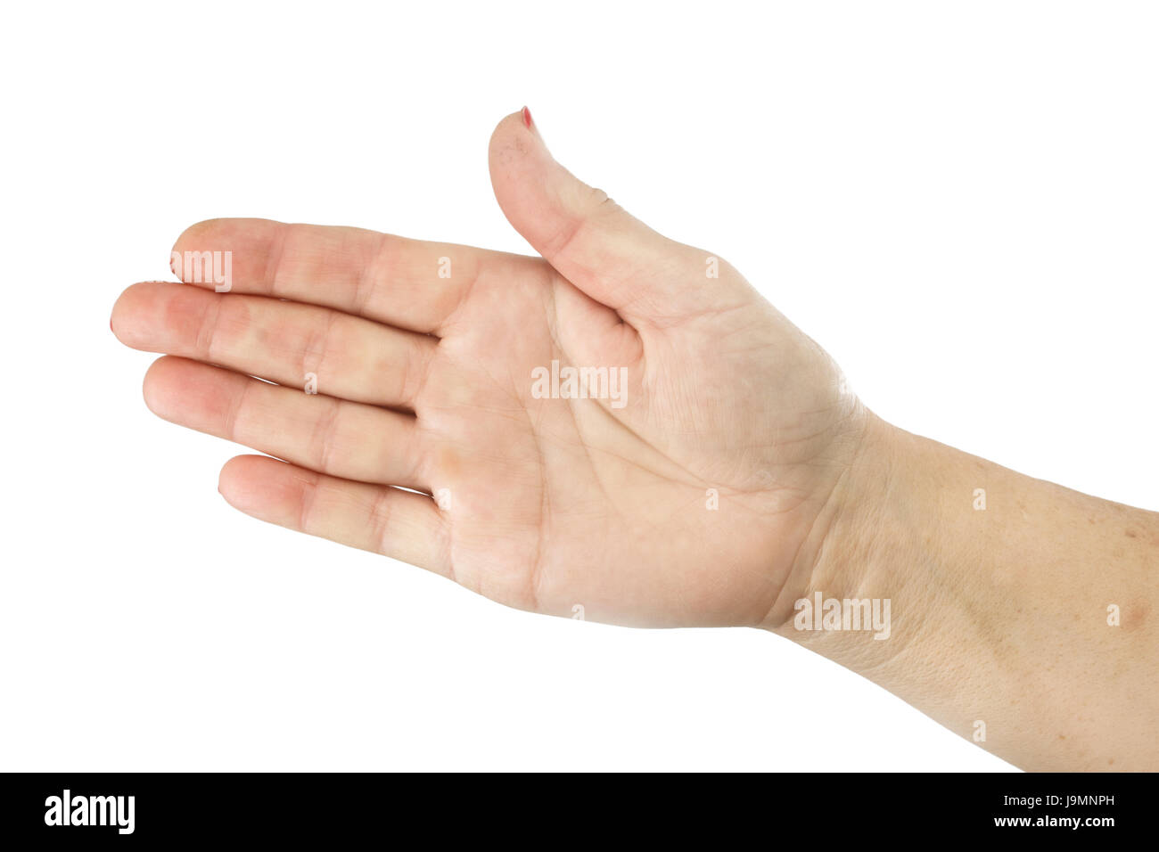 Welcome gesture, Ready for Handshaking hand isolated on a white ...