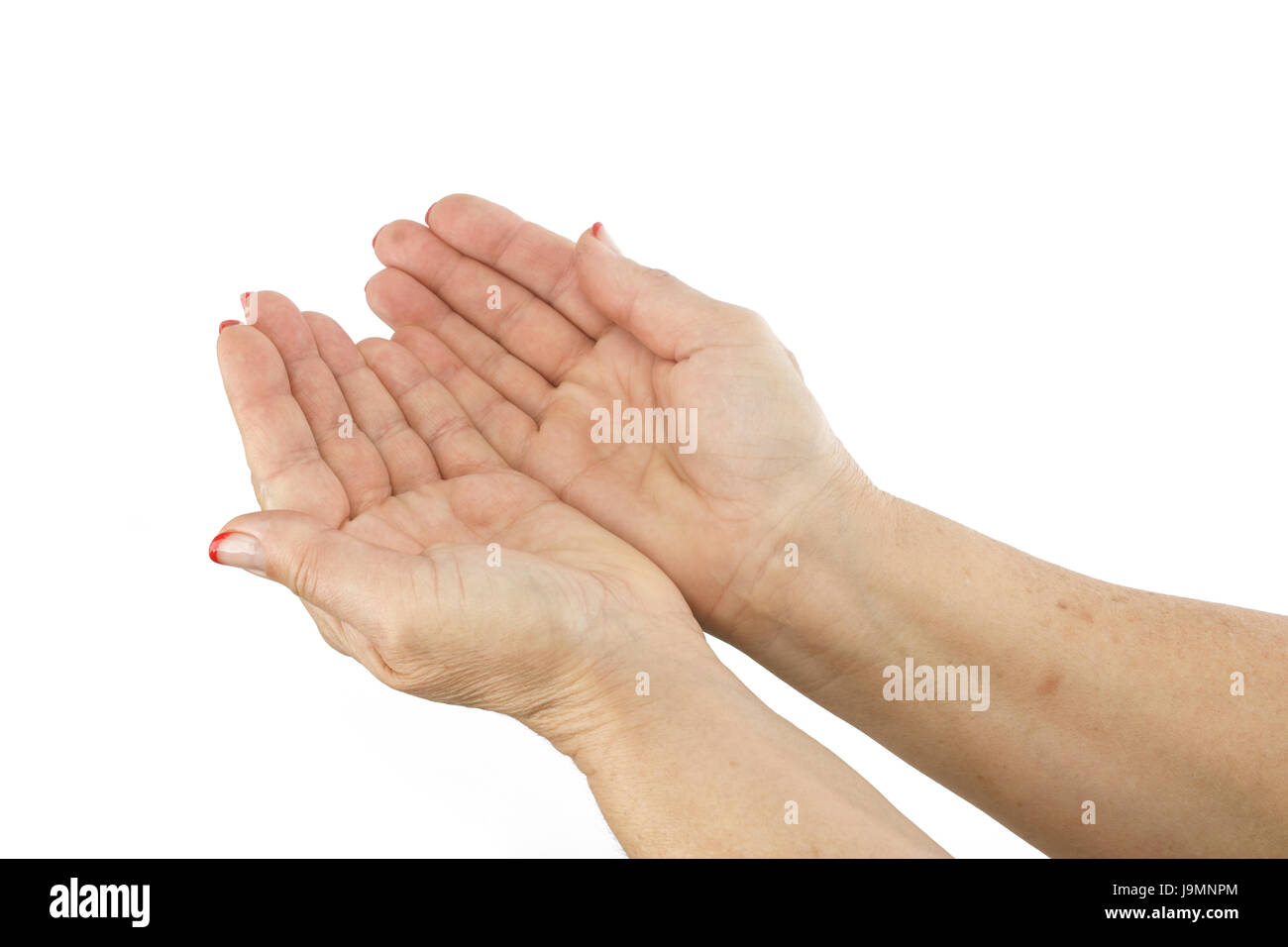 Gesture of peace and giving thanks isolated on white background. Two ...