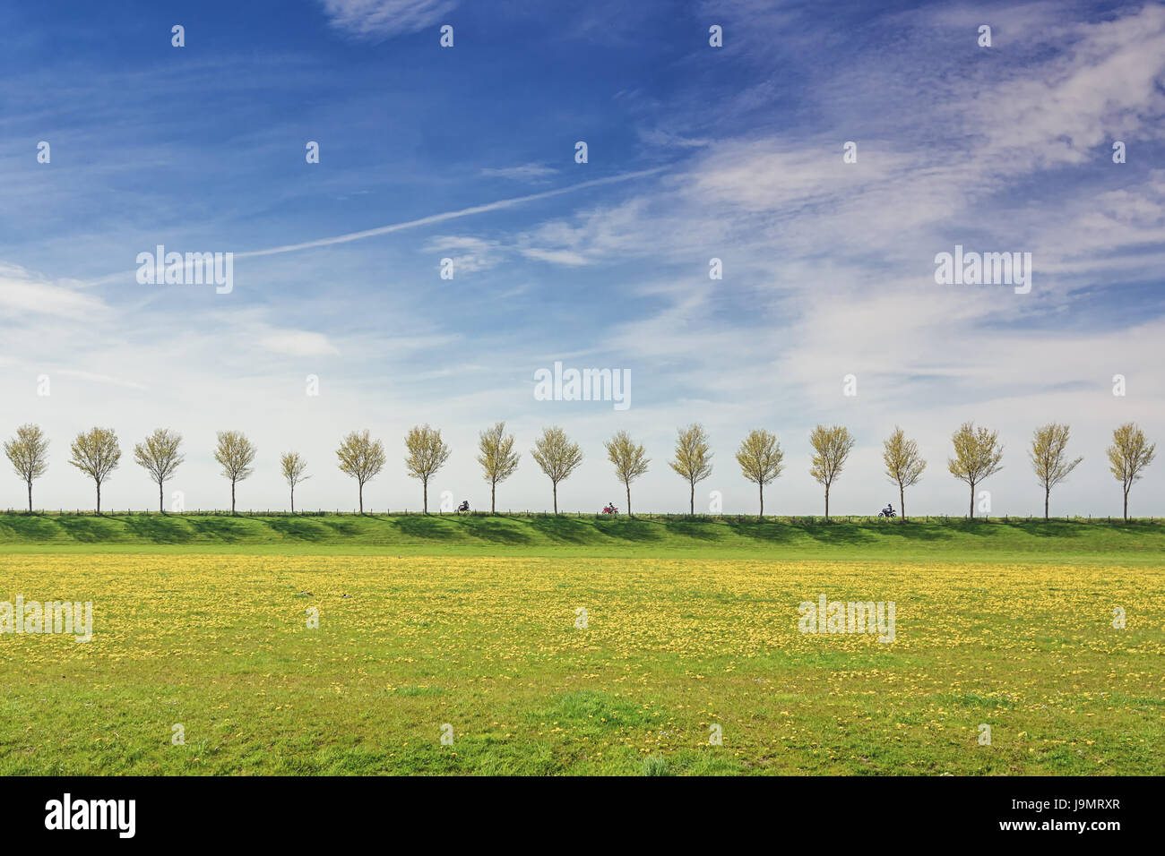Beemster unesco hi-res stock photography and images - Alamy