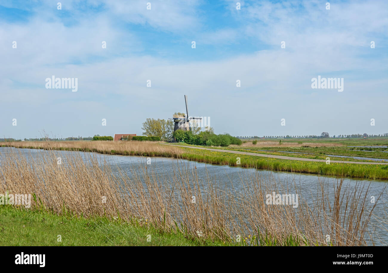 Typical Dutch polder landscape with mill and canal Stock Photo - Alamy