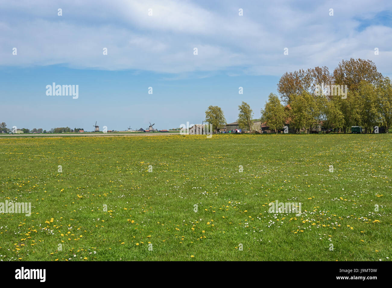 Polder series hi-res stock photography and images - Alamy