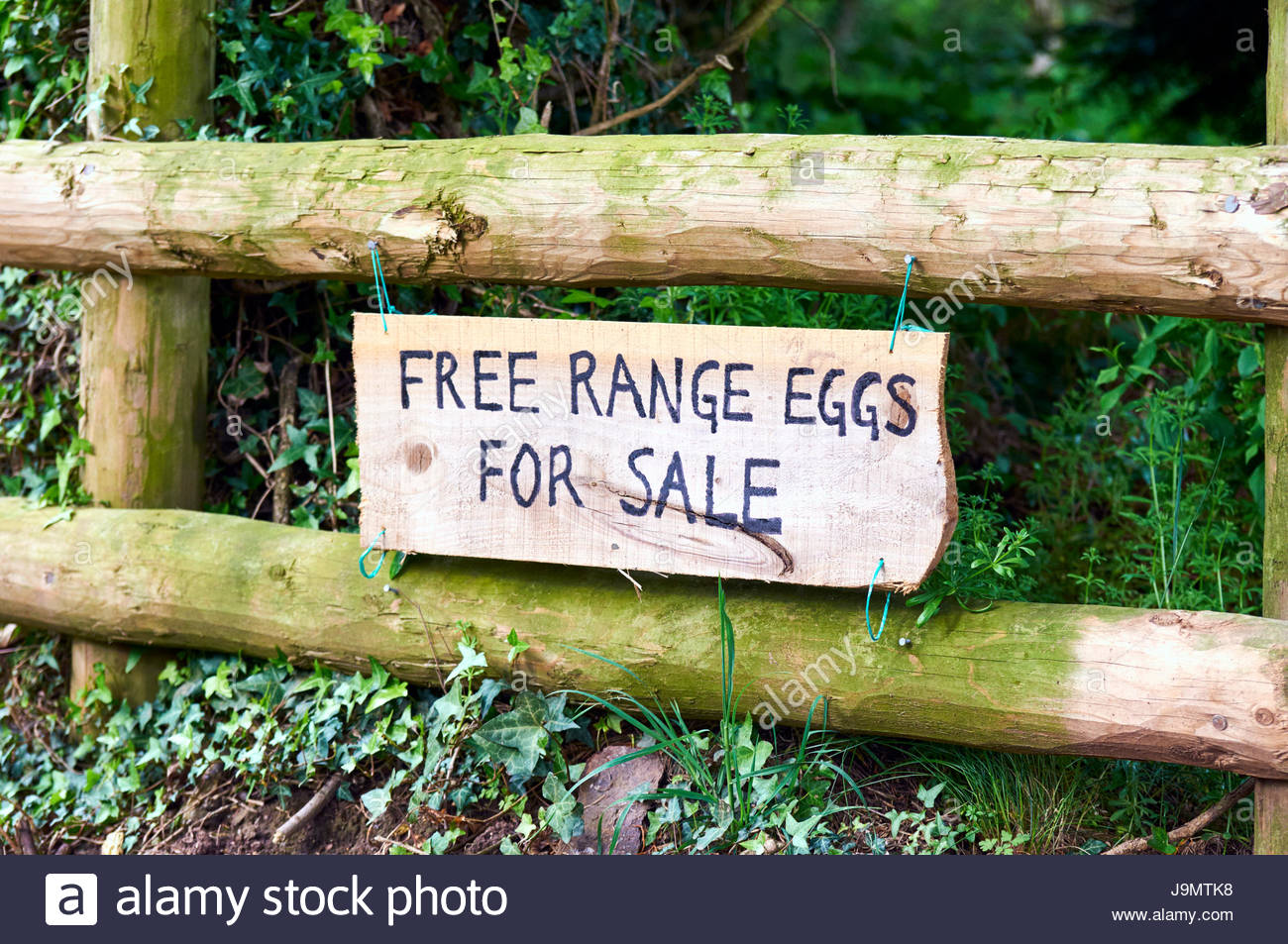 Free Range Eggs Sign High Resolution Stock Photography and Images - Alamy