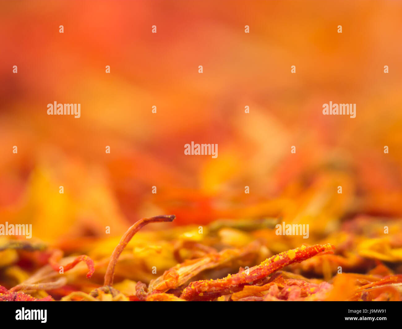 Bio organic saffron macro for background with selective focus Stock ...