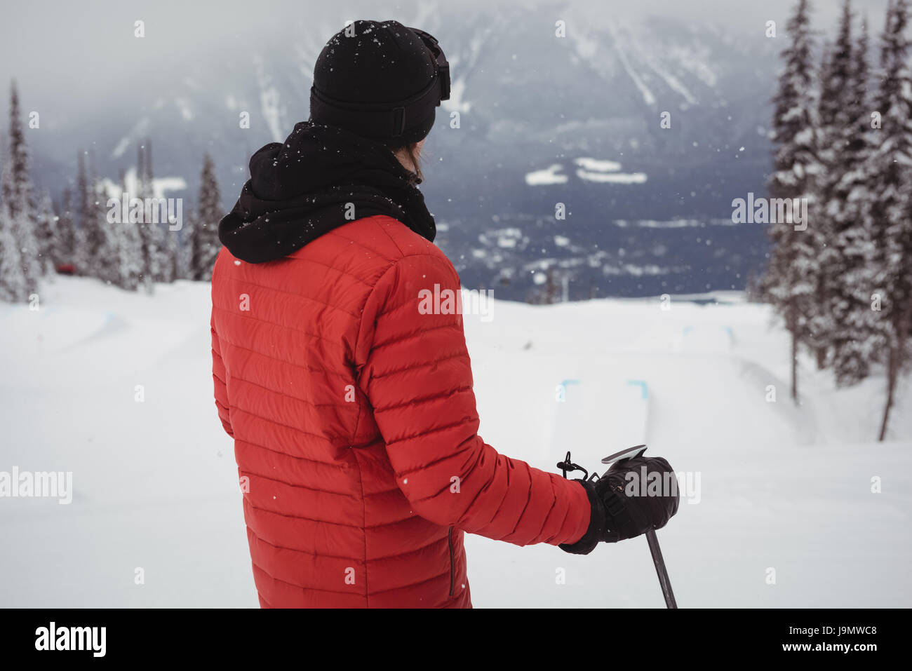 Rear view of skier standing on the top of the mountain Stock Photo - Alamy