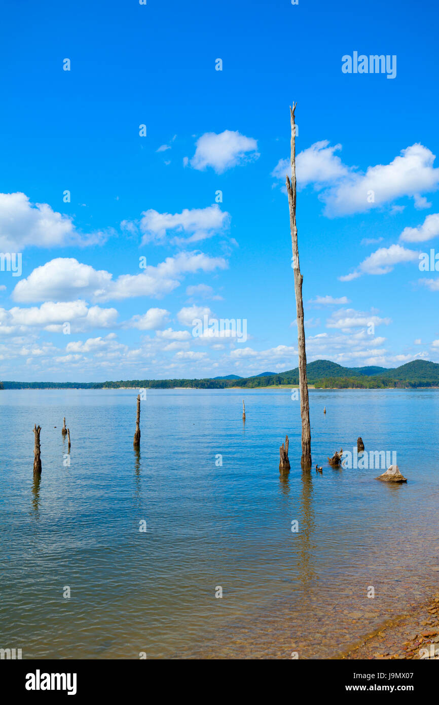 environment, enviroment, tree, trees, cave, fresh water, lake, inland ...