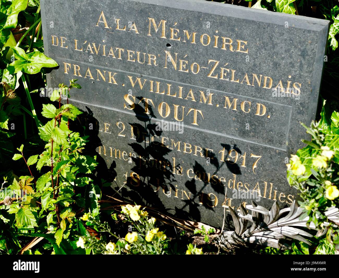 Memorial and grave for Pilot Frank William McDowell Stout, Royal New ...
