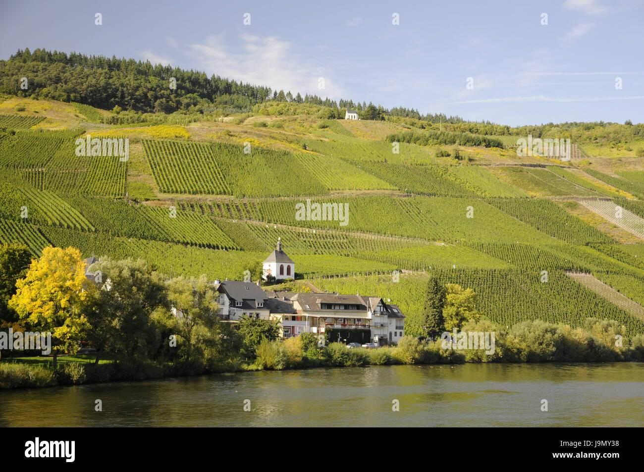 chapel, vineyards, vineyard, mosel, chapels, vine, grape vine, grape ...