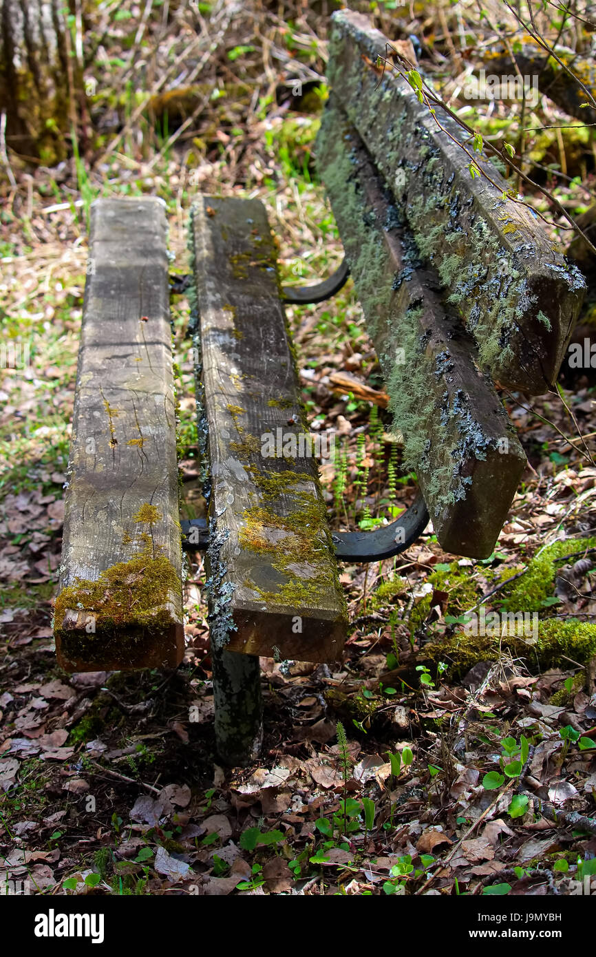 The side view of a moss covered bench Stock Photo - Alamy