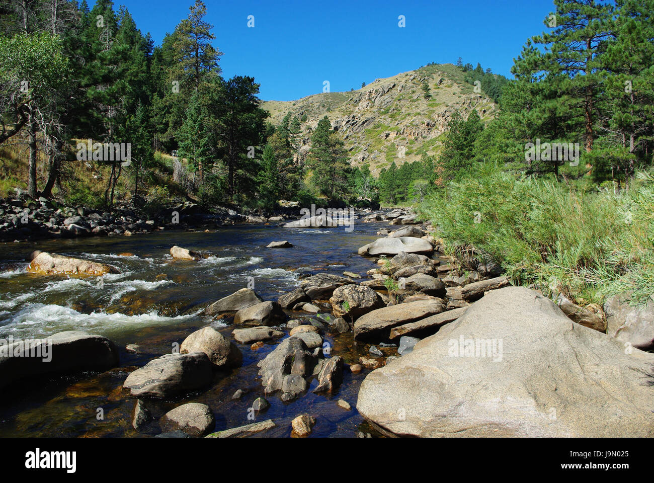 poudre river near rustic,colorado Stock Photo - Alamy