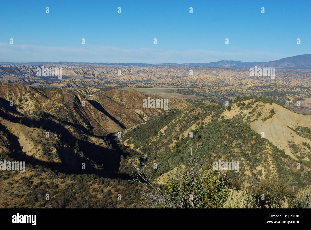 shrub, sight, view, outlook, perspective, vista, panorama, lookout ...
