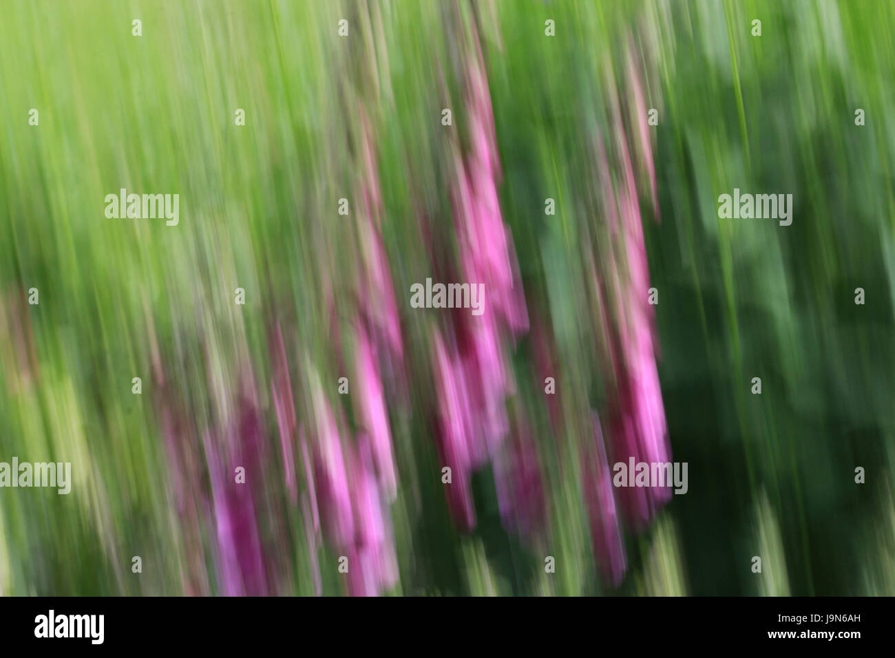Pan camera movement hi-res stock photography and images - Alamy