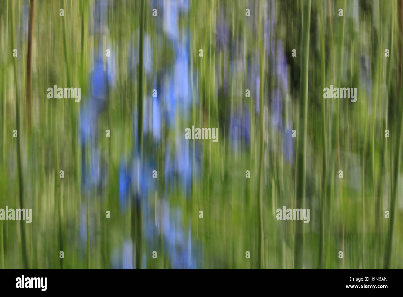 ICM intentional camera movement abstract Stock Photo - Alamy