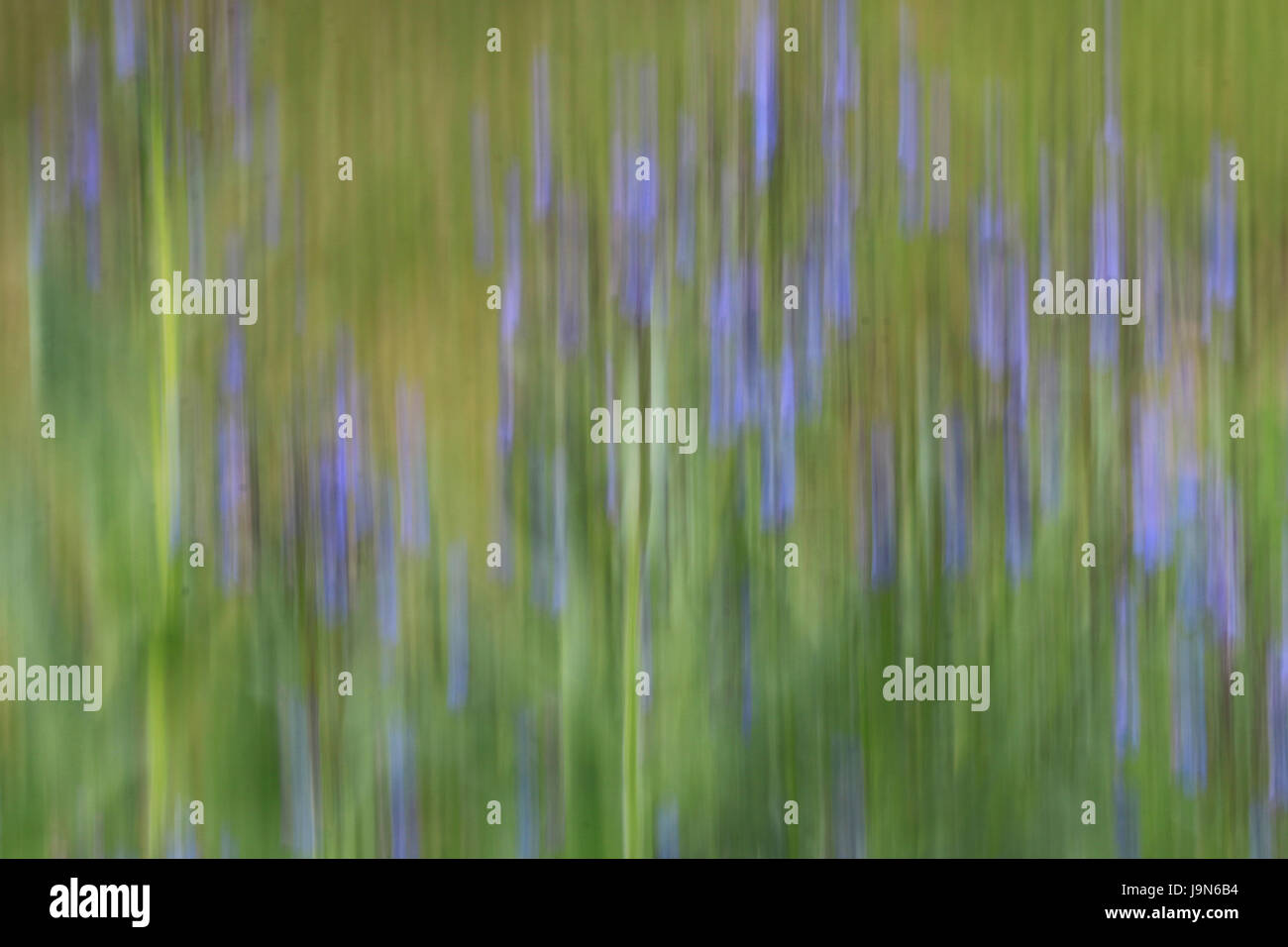 Icm hi-res stock photography and images - Alamy Icm hi-res stock photography and images - Alamy