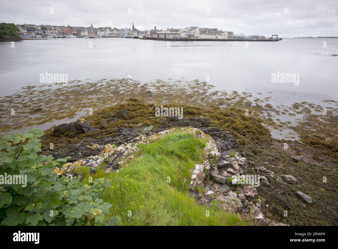 Shoreline with seaweed and rock opposite Stornoway harbour, Outer ...