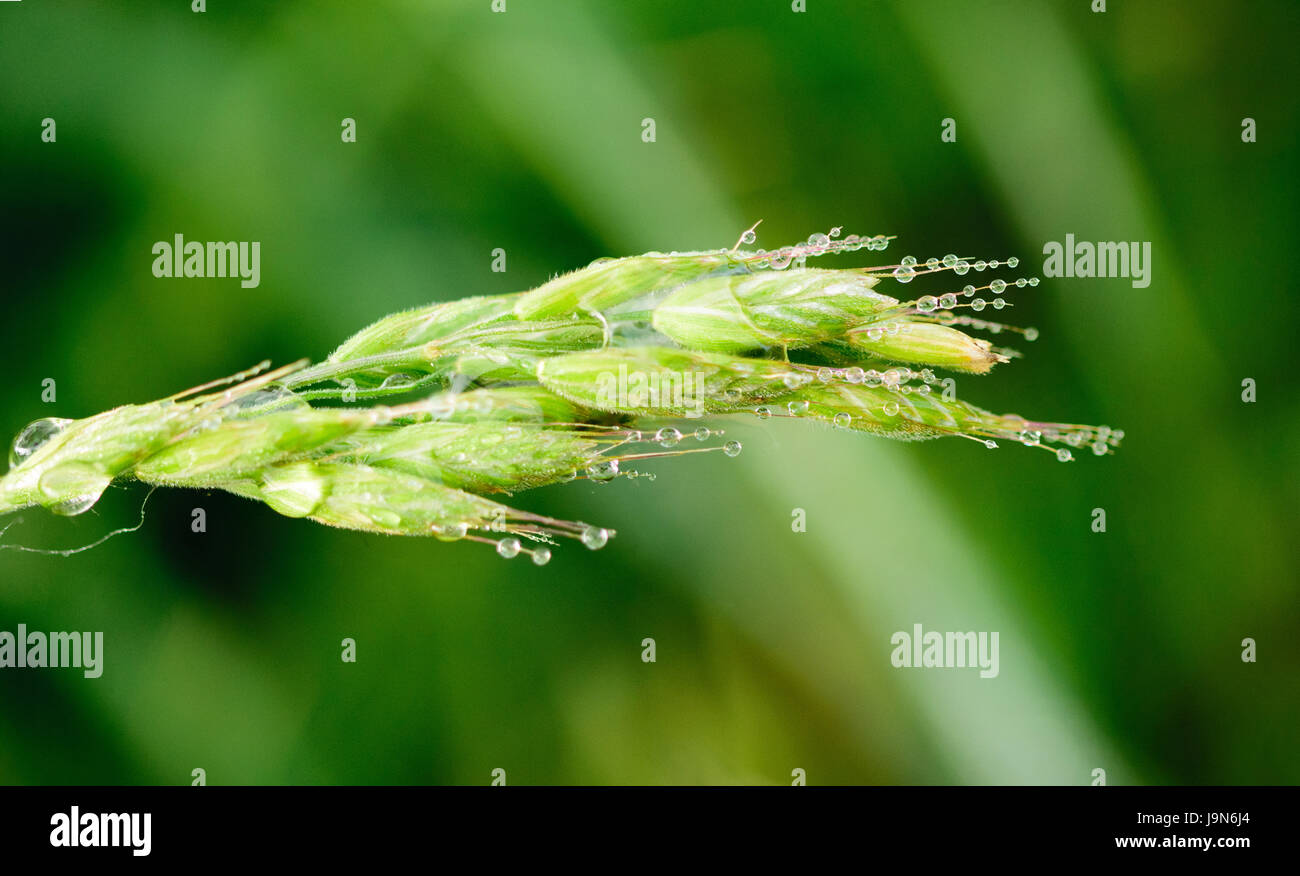 colors of nature Stock Photo - Alamy
