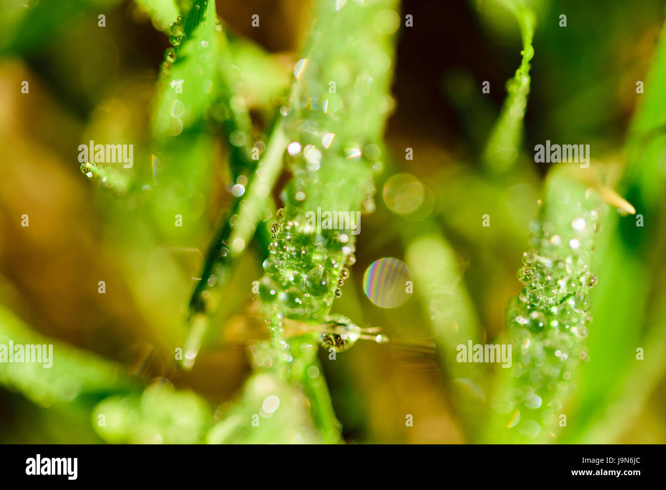 colors of nature Stock Photo - Alamy