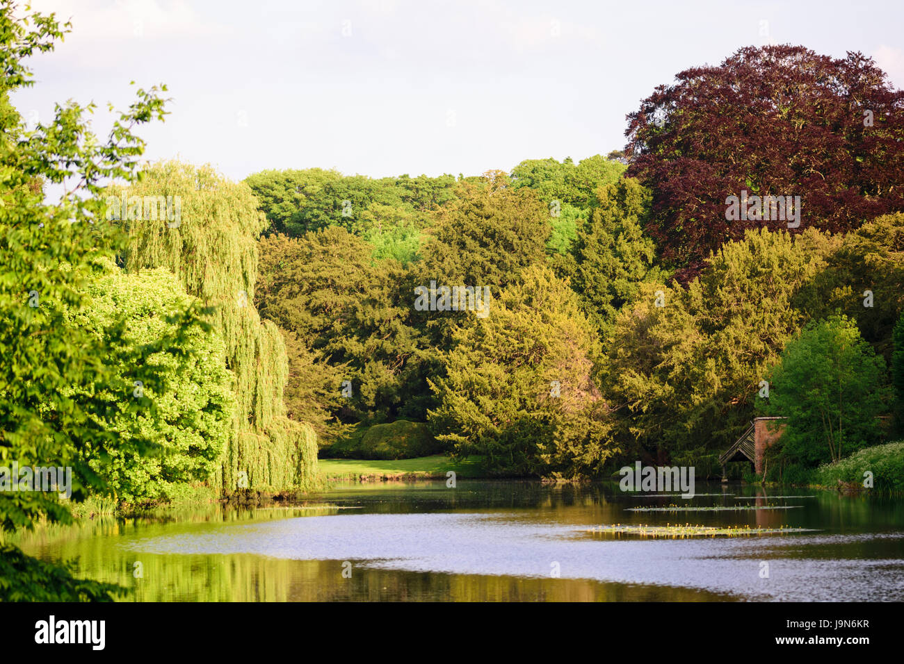 colors of nature Stock Photo - Alamy