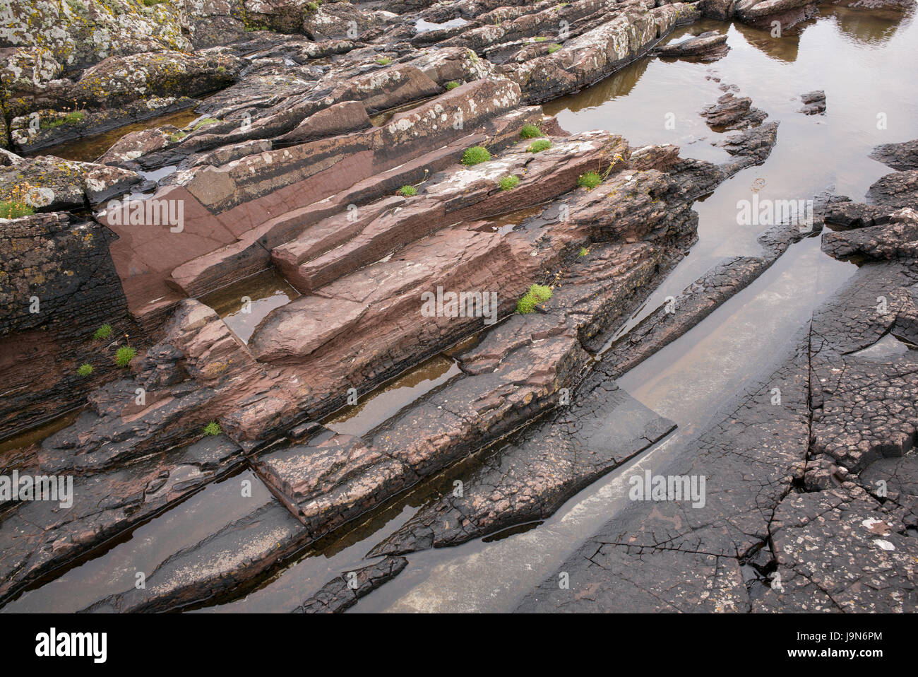 Rock pools on shoreline at Clachtoll beach, Scotland, UK Stock Photo ...