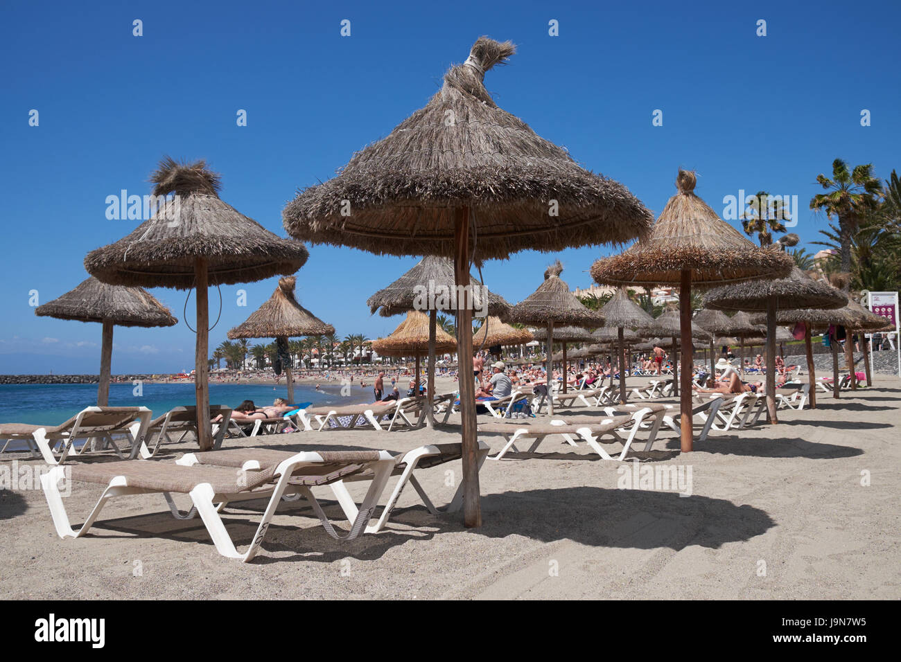 Playa del Camison, Arona, Tenerife, Canary Islands, Spain Stock Photo ...