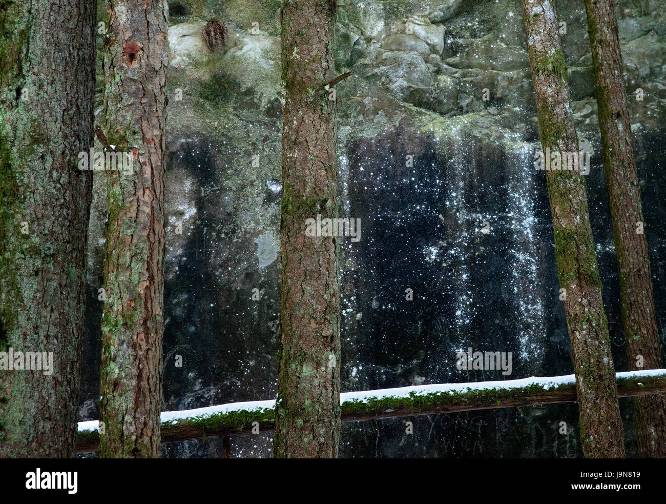 Pacific Northwest forest and cliffside Stock Photo - Alamy