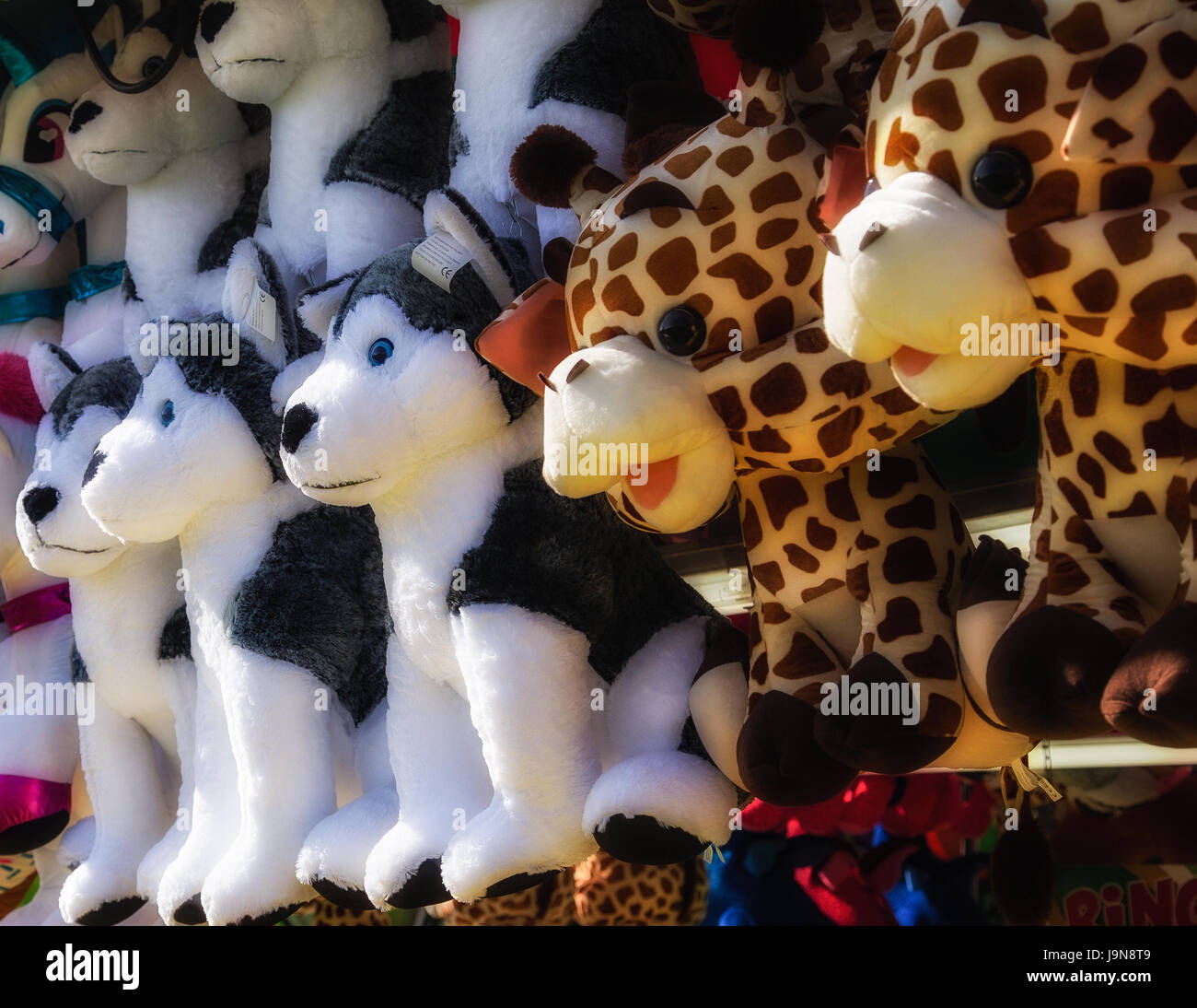 Prizes on the midway at the county fair Stock Photo - Alamy