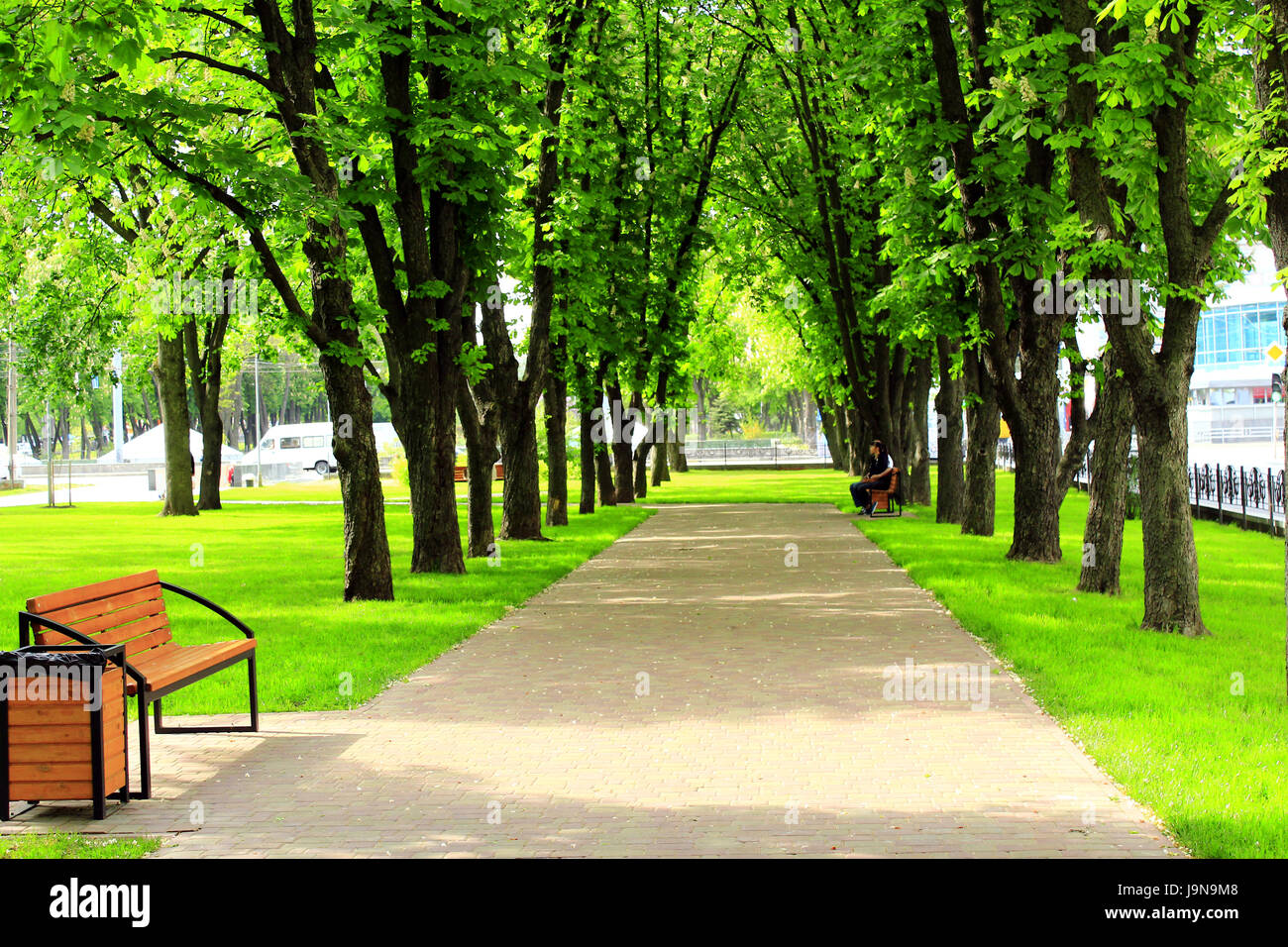 beautiful city park with nice promenade path benches and big green ...